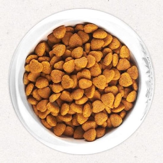 Ami Dog Brokken (kleine honden) | bol