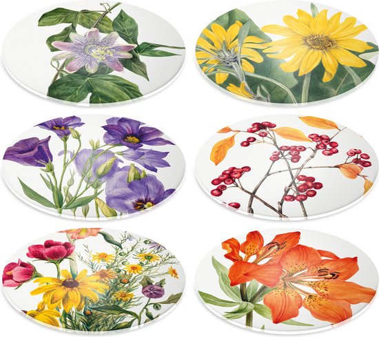 Set van 6 onderzetters voor glazen - Wilde bloemen van de Amerikaanse ...