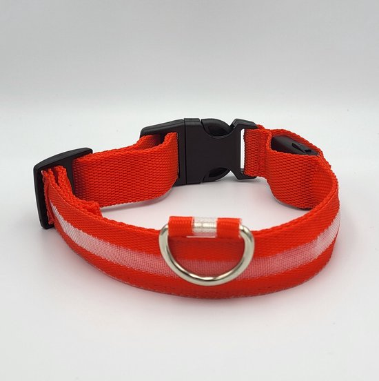 LED halsband hond | Maat M | 37 - 46 cm | USB oplaadbaar | Rood ...