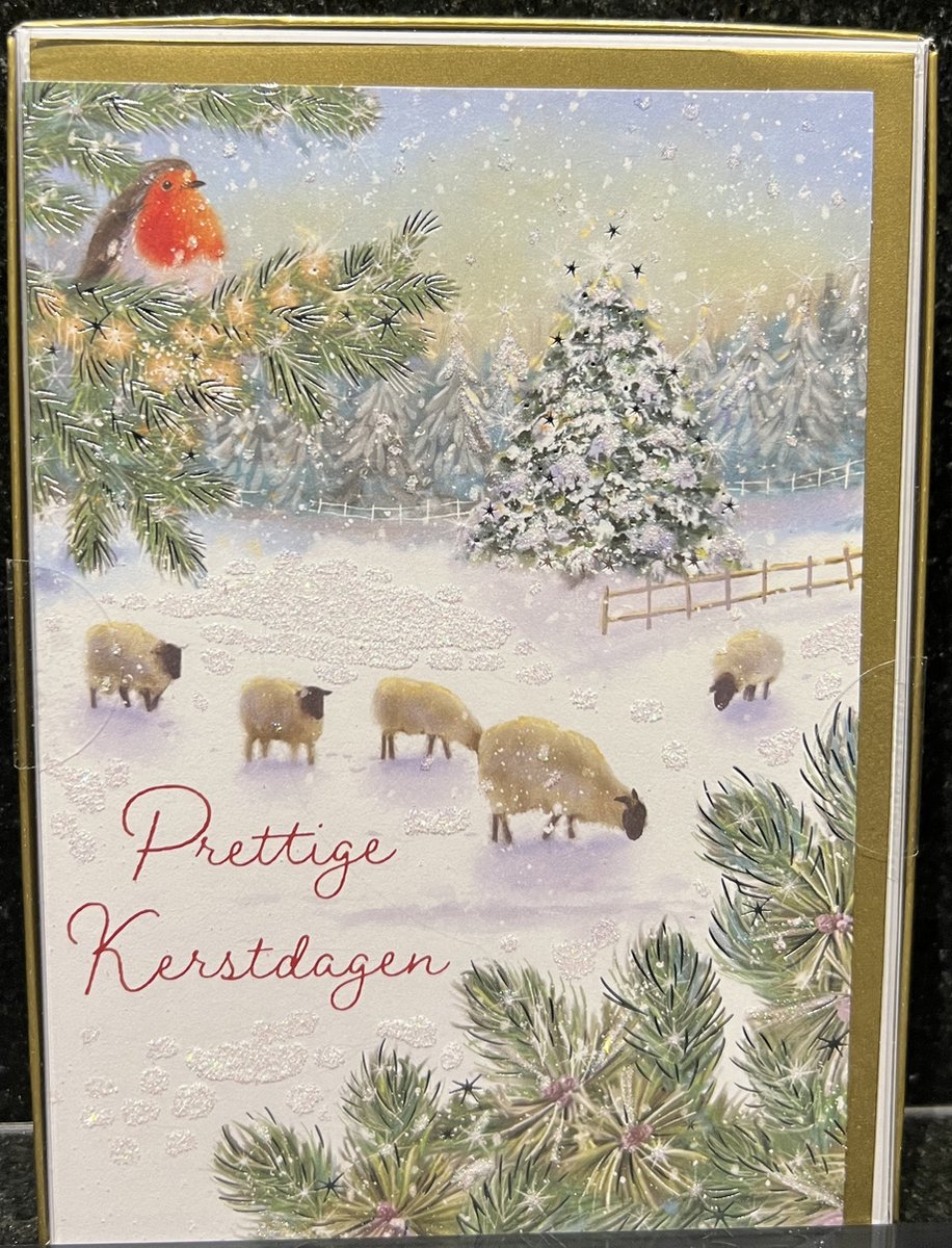 30 kerstkaarten - Paperclip - Luxe Kaarten met Envelop - Fijne ...