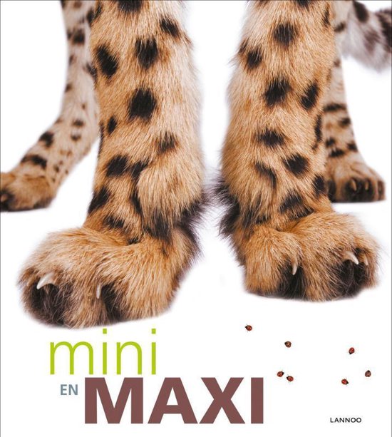 Mini En Maxi Onbekend 9789020994575 Boeken Bol