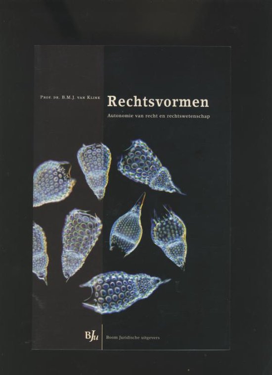 Rechtsvormen | 9789089743657 | Bart van Klink | Boeken | bol