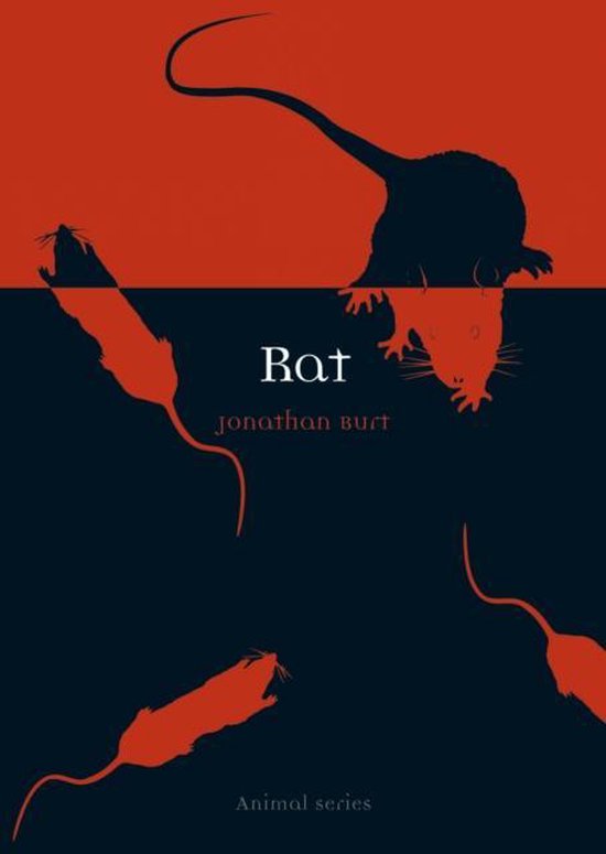 Rat | 9781861892249 | Jonathan Burt | Boeken | bol.com