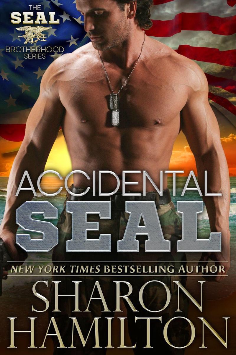SEAL Brotherhood 1 - Accidental SEAL (ebook), Sharon Hamilton ...