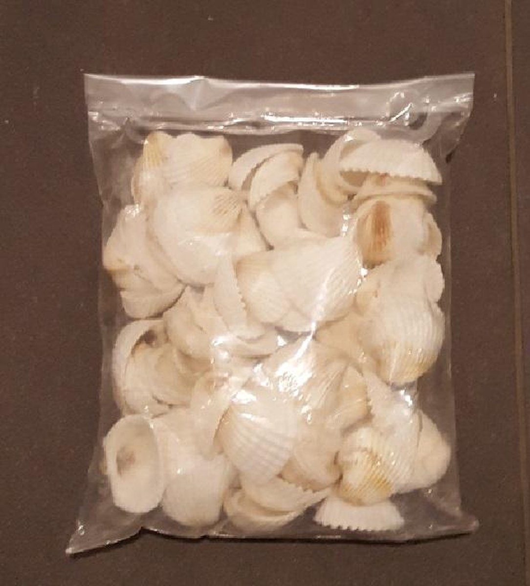 Witte zee schelpen 1 kilo | bol