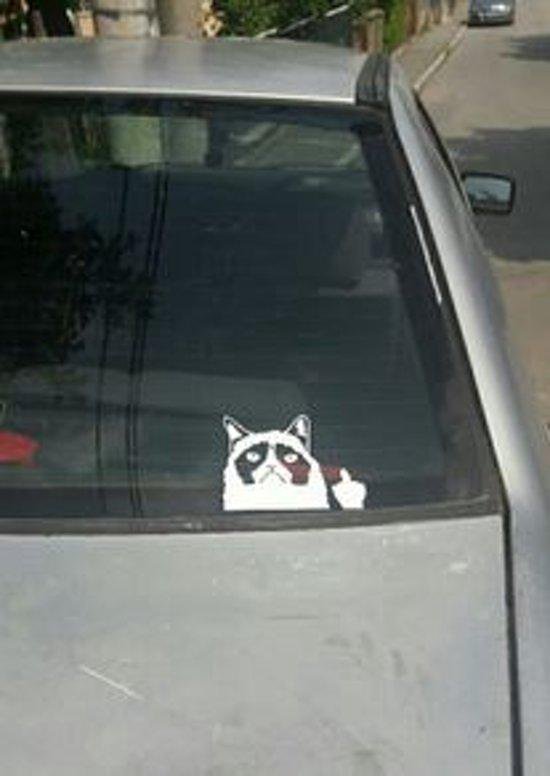 Kat Autosticker - Grumpy Cat Auto Sticker Middel Vinger - Muursticker | bol