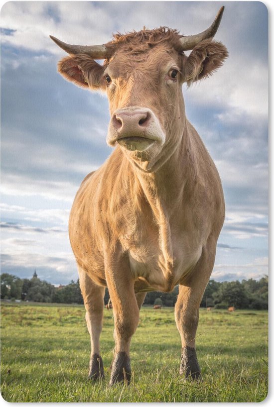 Muismat Koeien - Lichtbruine koe muismat rubber - 40x60 cm - Muismat ...