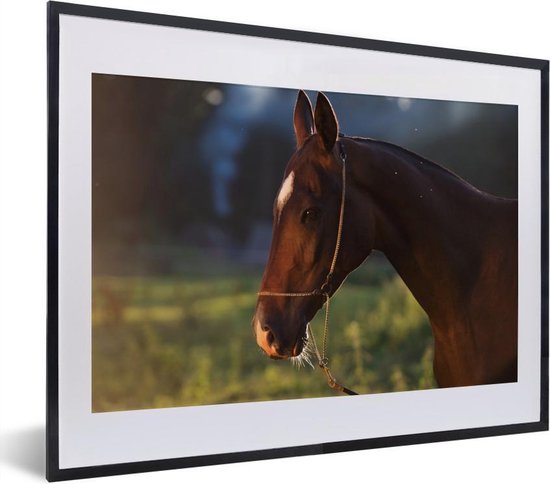 Fotolijst incl. Poster - Volbloed Akhat-Teke merrie in dageraad - 40x30 ...