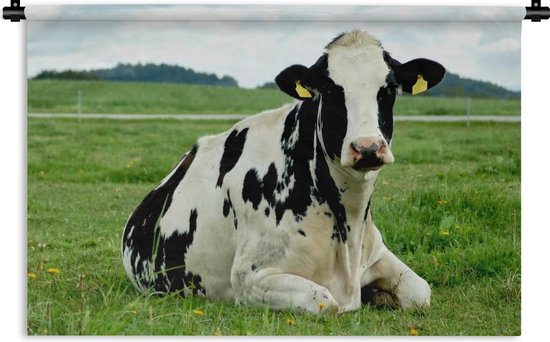 Wandkleed Koeien - Rustende Friese koe Wandkleed katoen 60x40 cm - Wandtapijt met foto | bol.com