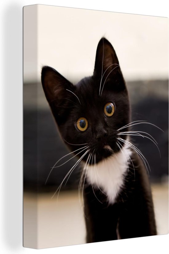 Peintures sur toile - Un gros plan d'un chaton noir et blanc - 90x120 ...
