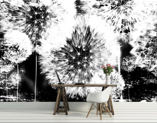 Fotobehang - Vlies Behang - Paardenbloemen in zwart-wit - 416 x 254 cm ...