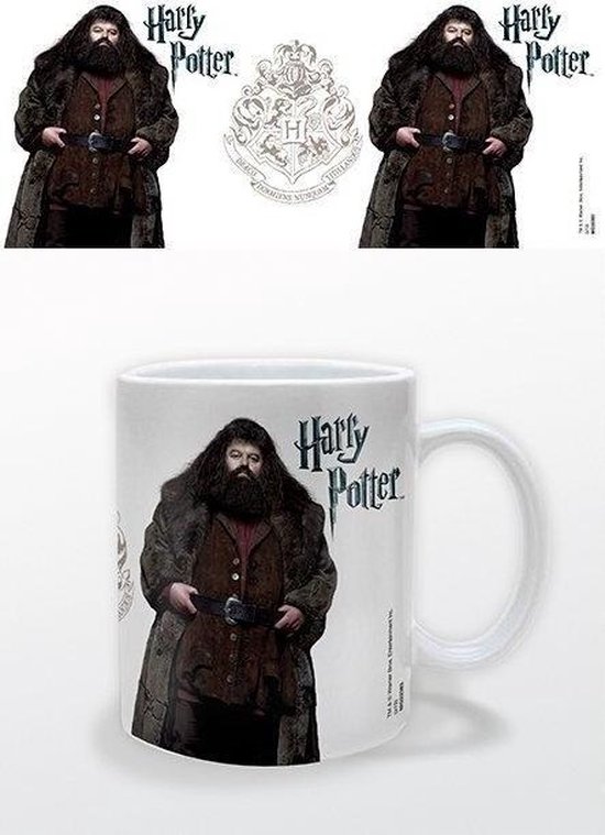 HARRY POTTER - HAGRID Mugs | bol.com