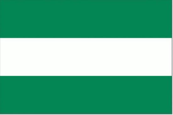 Vlag Rotterdam 30x45cm | bol