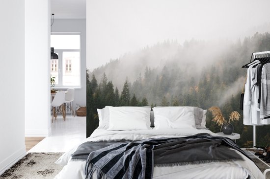 Fotobehang Bos In Mist | bol