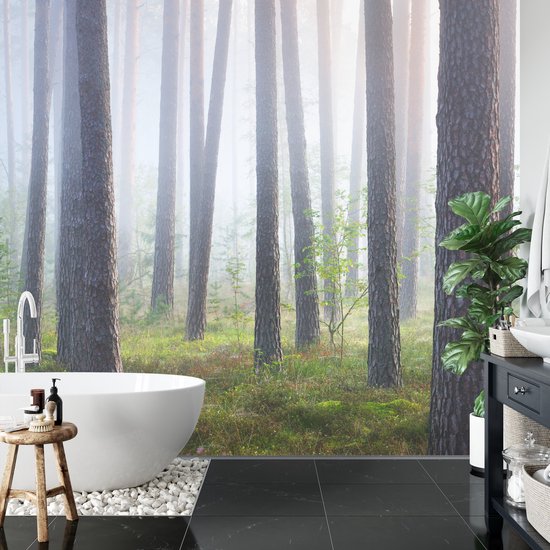 Fotobehang Bos In Mist | bol