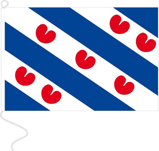 Vlag van Friesland 200x300cm | bol