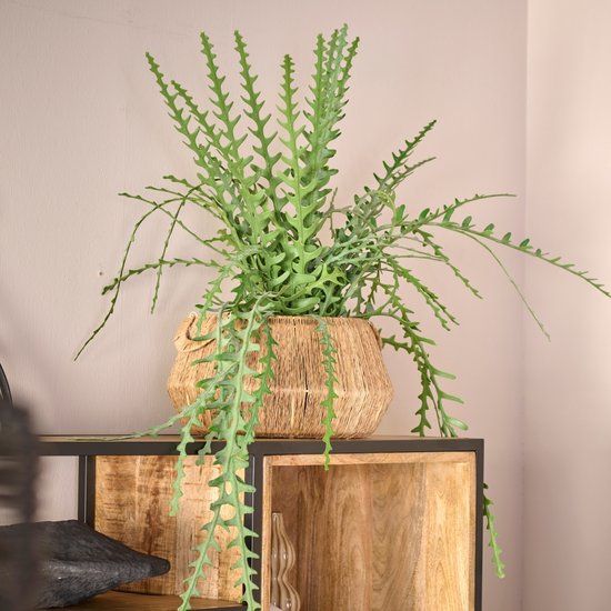 Kaemingk Mand (set 3 Stuks) Bojack - Aardewerk - Naturel - 48 x 30 x 48 cm (BxHxD) | bol