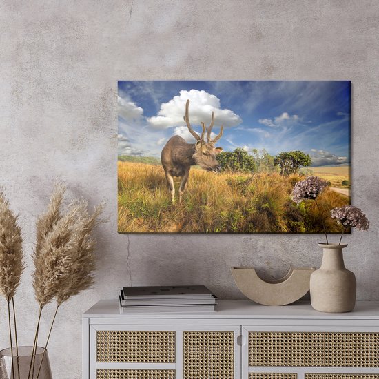Schilderijkoning - Canvas Schilderij Hert Tegen De Lucht - 70 x 50 cm ...