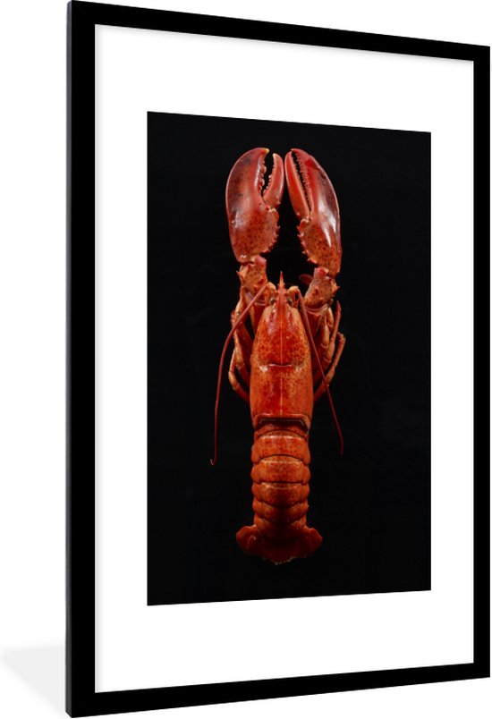 Fotolijst incl. Poster - Kreeft - Rood - Portret - 60x90 cm ...