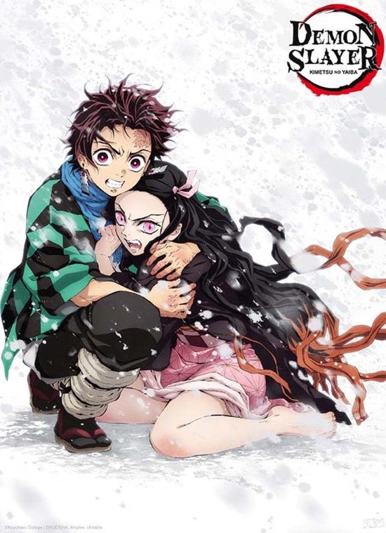 Abystyle Affiche Demon Slayer Tanjiro And Nezuko Snow 38x38cm