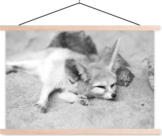 Schoolplaat - Een Fennek vos ligt in het warme zand - zwart wit - 120x80 cm - Blanke... | bol.com