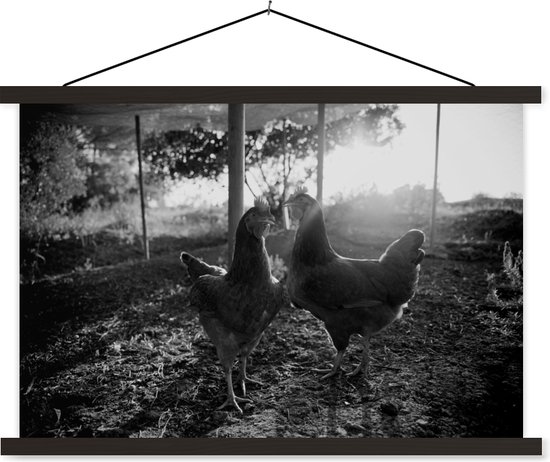 Twee kippen in ren - zwart wit | bol.com
