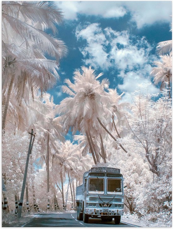 Poster Glanzend – Wit Busje Rijdend tussen de Witte Palmbomen onder ...
