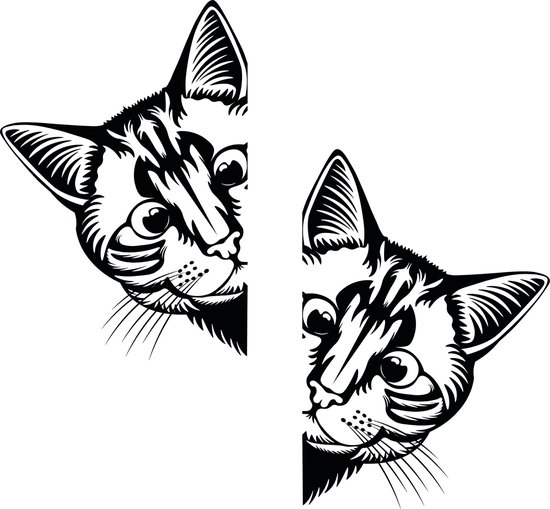 Raam stickers - auto sticker -muur stickers 2 x gluur katten poezen ...