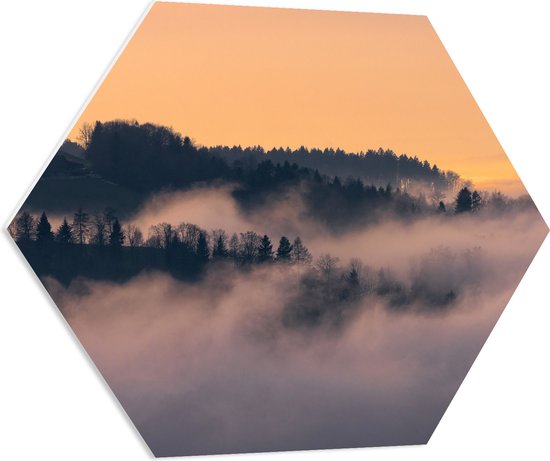 PVC Schuimplaat Hexagon - Bergen - Bomen - Wolken - Mist - Huisje ...