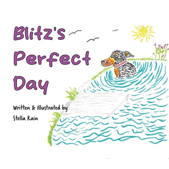 Blitz's Perfect Day (ebook), Stella Rain | 9798987633762 | Boeken | bol.com