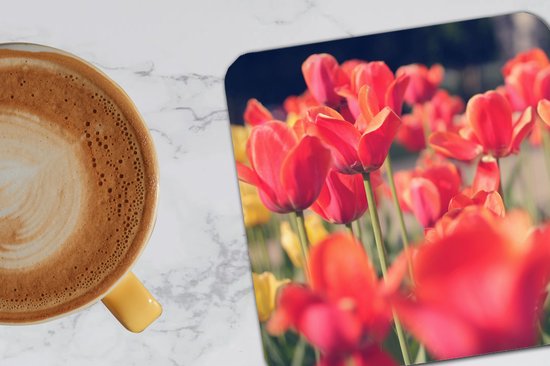Onderzetters voor glazen - Tulpen - Bloemen - Natuur - 10x10 cm ...