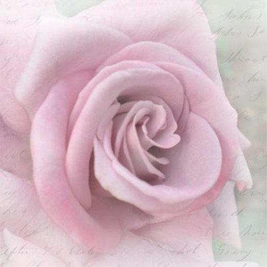 Sagen vintage design, Rose Letter papieren servetten | bol.com