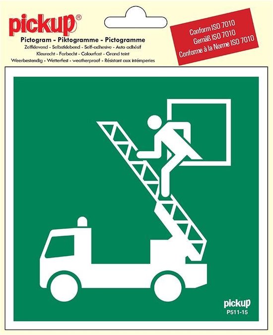 Pickup Pictogram 15x15 cm - Reddings uitgang - conform ISO 7010 | bol.com