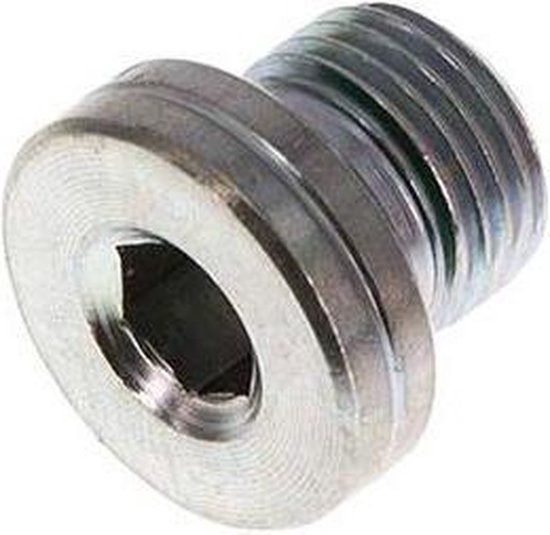G 1 1/2'' Buitendraad Verzinkt Stalen Plug met Binnenzeskant en FKM Afdichting 250 Bar... | bol