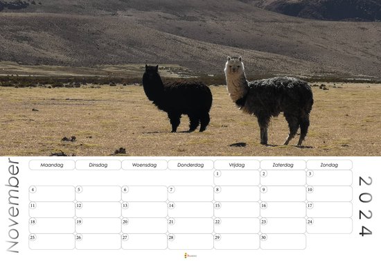 XL 2024 Kalender - Jaarkalender - Lama | bol
