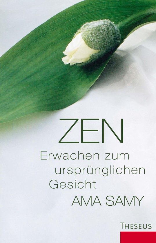 Zen (ebook), Ama Samy | 9783958832350 | Boeken | bol