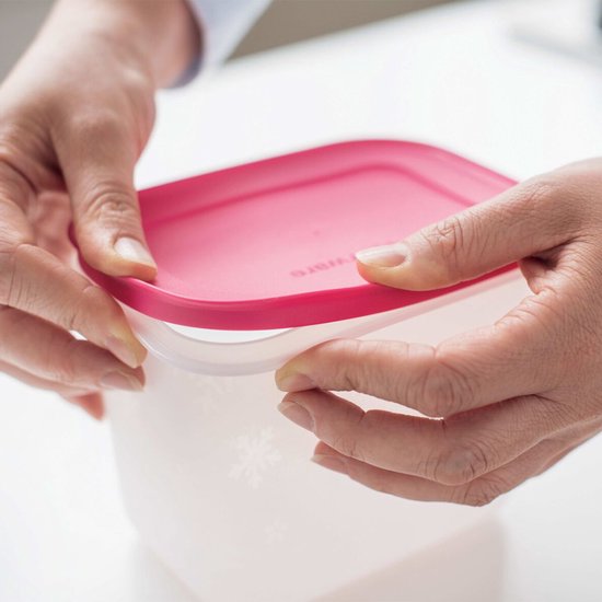 Tupperware Freezer Mates 2 stuks - Diepvriesdozenset -Voedselbakjes ...