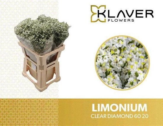 25x Lim.sin.clear diamond 60cm | bol