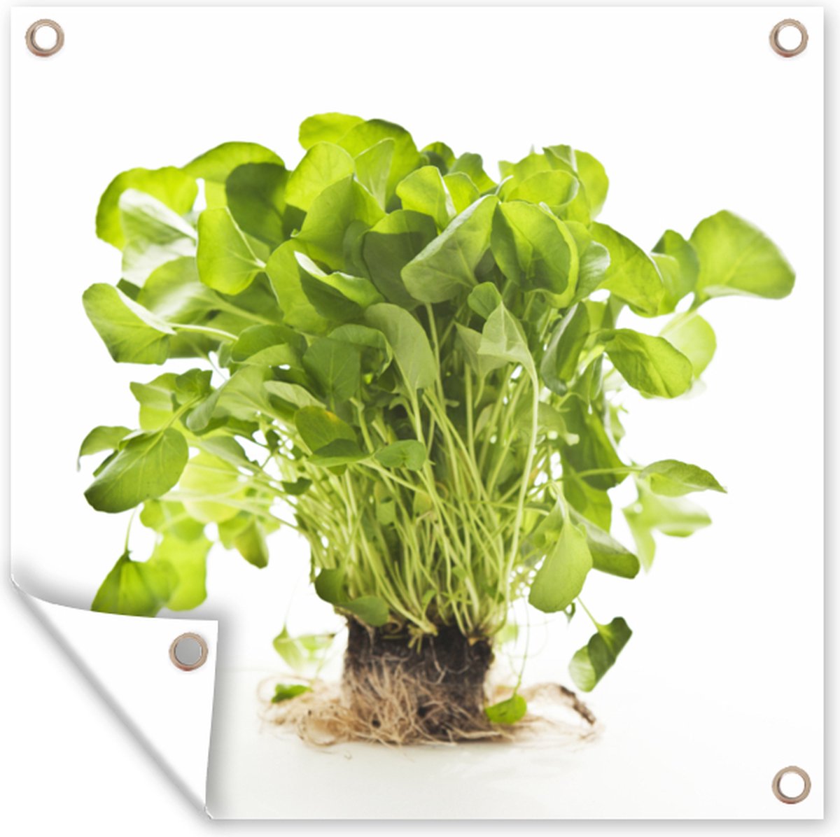 Tuindoek Groeiend witte waterkers uit de pot gehaald - 100x100 cm | bol.com