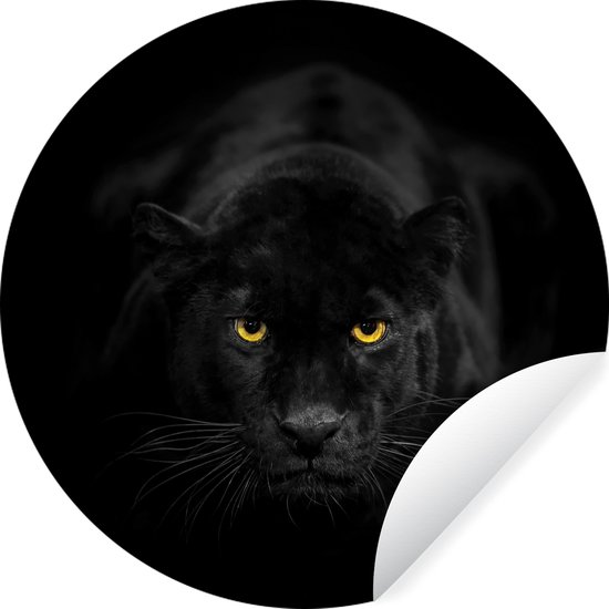 WallCircle - Muurstickers - Behangcirkel - Luipaard - Ogen - Zwart - 100x100 cm -... | bol.com