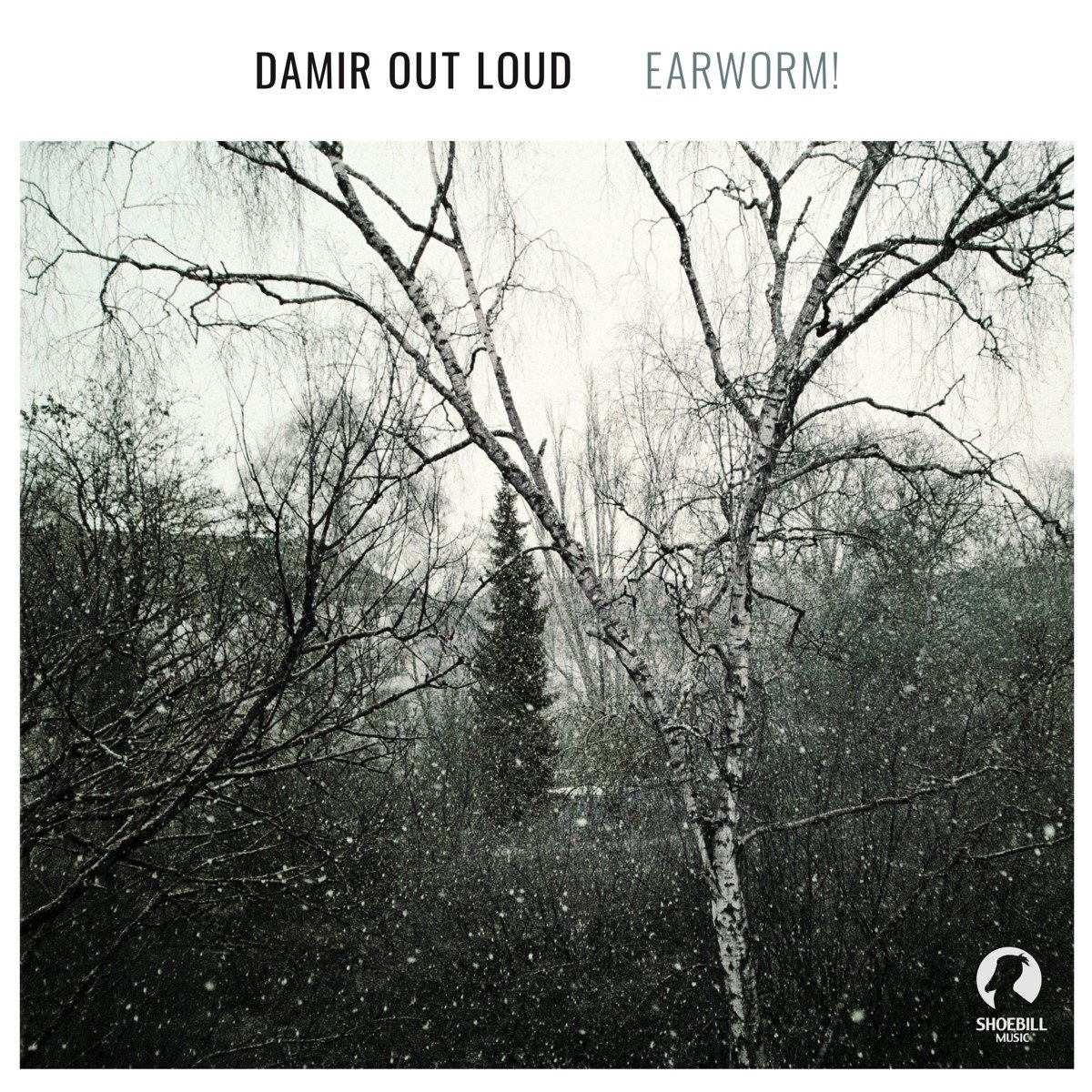 Damir Out Loud - Earworm! (LP), Damir Out Loud | LP (album) | Muziek | bol