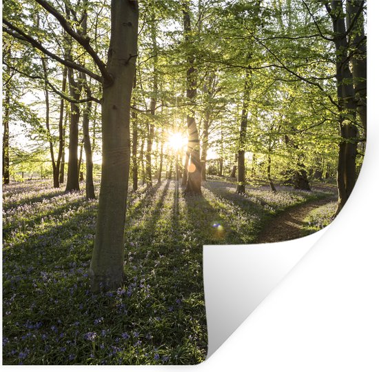 Muurstickers - Sticker Folie - Bos - Boom - Zon - 100x100 cm ...