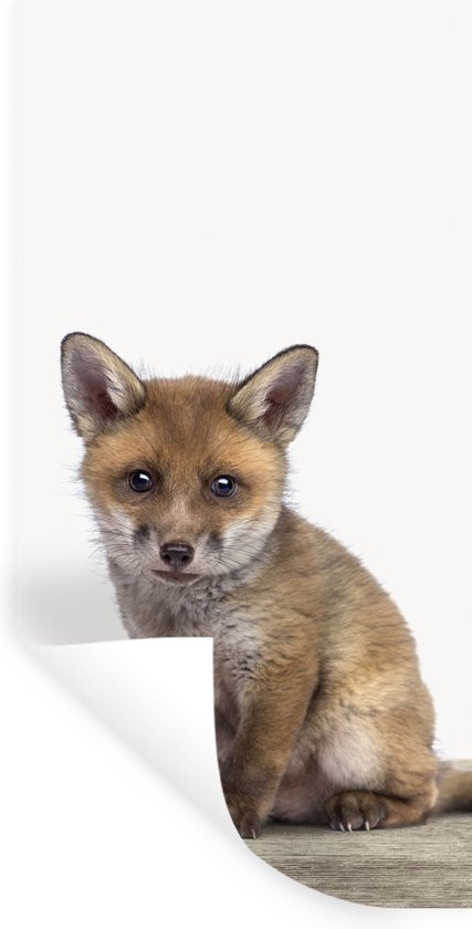 Sticker voor kids - Kinderkamer decoratie - Muursticker kinderen ...