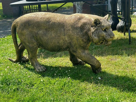 Goodyz-Jungledieren- Tijger- XXL - staand-150cm lang- | bol