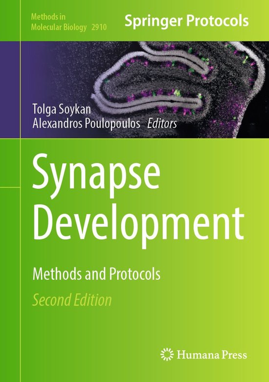 Methods in Molecular Biology 2910 - Synapse Development (ebook) | 9781071644461 | Boeken | bol