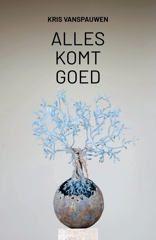 Alles komt goed, Kris Vanspauwen | 9789493402102 | Boeken | bol