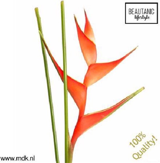 2x Helic.tropical 70cm | bol