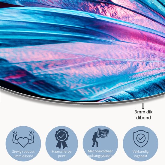 Kleurrijke vlindervleugels in close-up - Vlinder muurcirkel ...