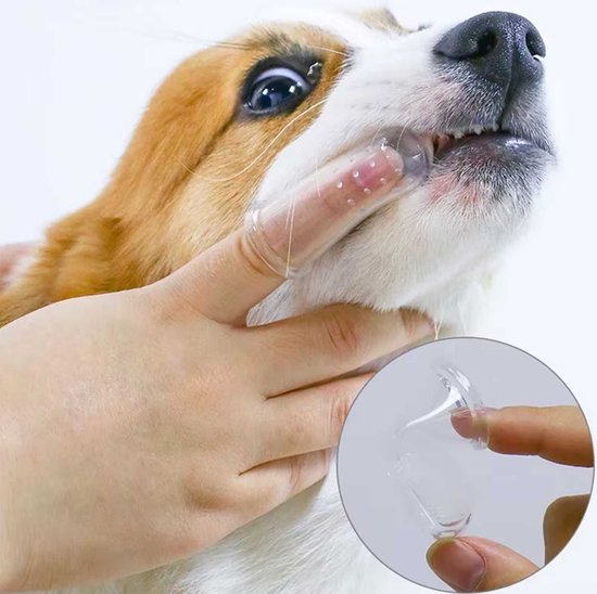Tandenborstel Hond - Kat - Gebit - Dieren - Vinger Tanden Borstel | bol