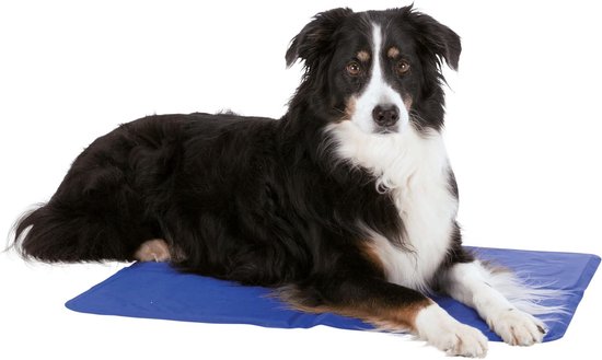 Koelmat voor honden en katten - koeling - 1 stuk - blauw - 50 x 40 cm | bol